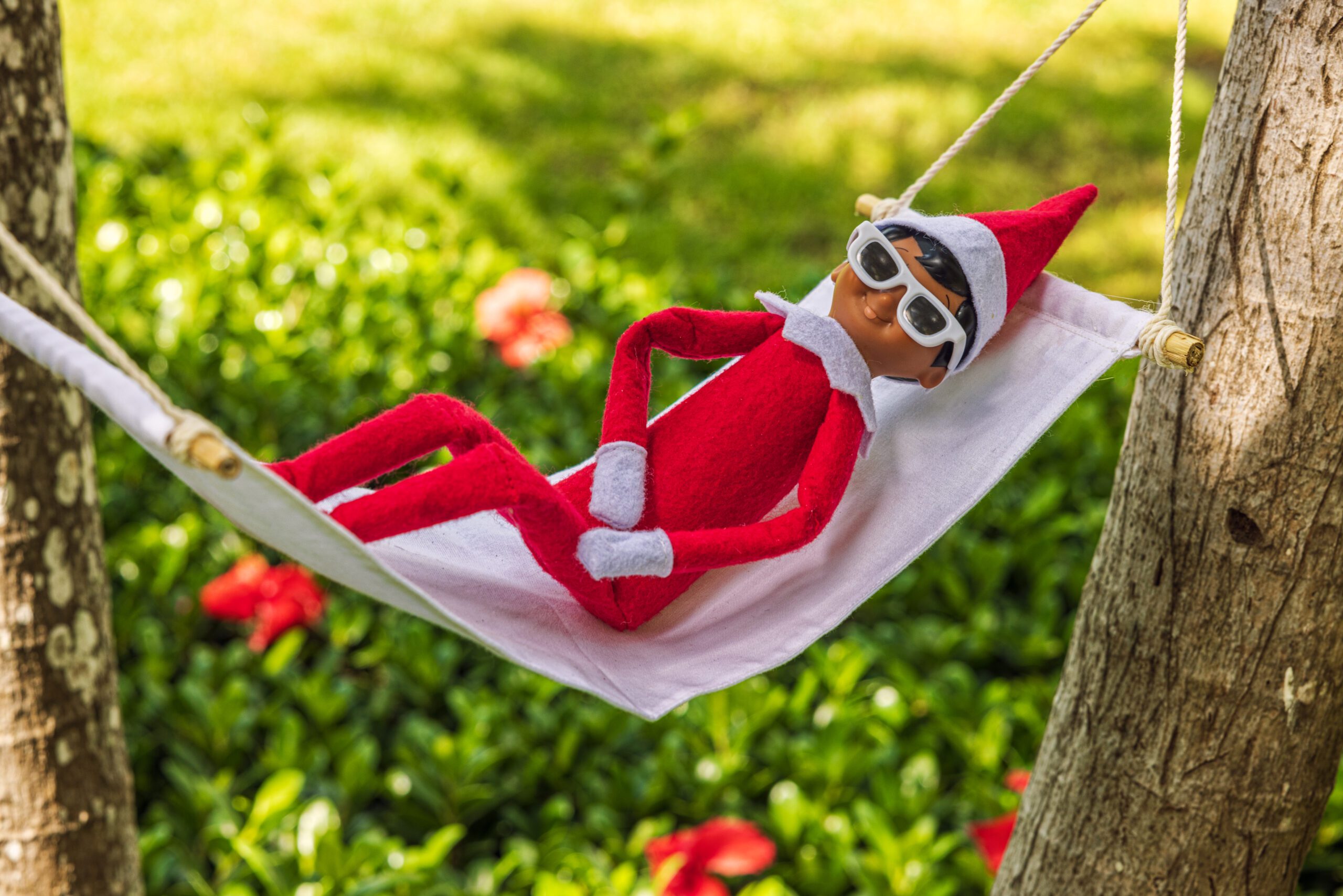 Beaches® Resorts Welcomes The Elf On The Shelf® Scout Elf® To Sunny ...