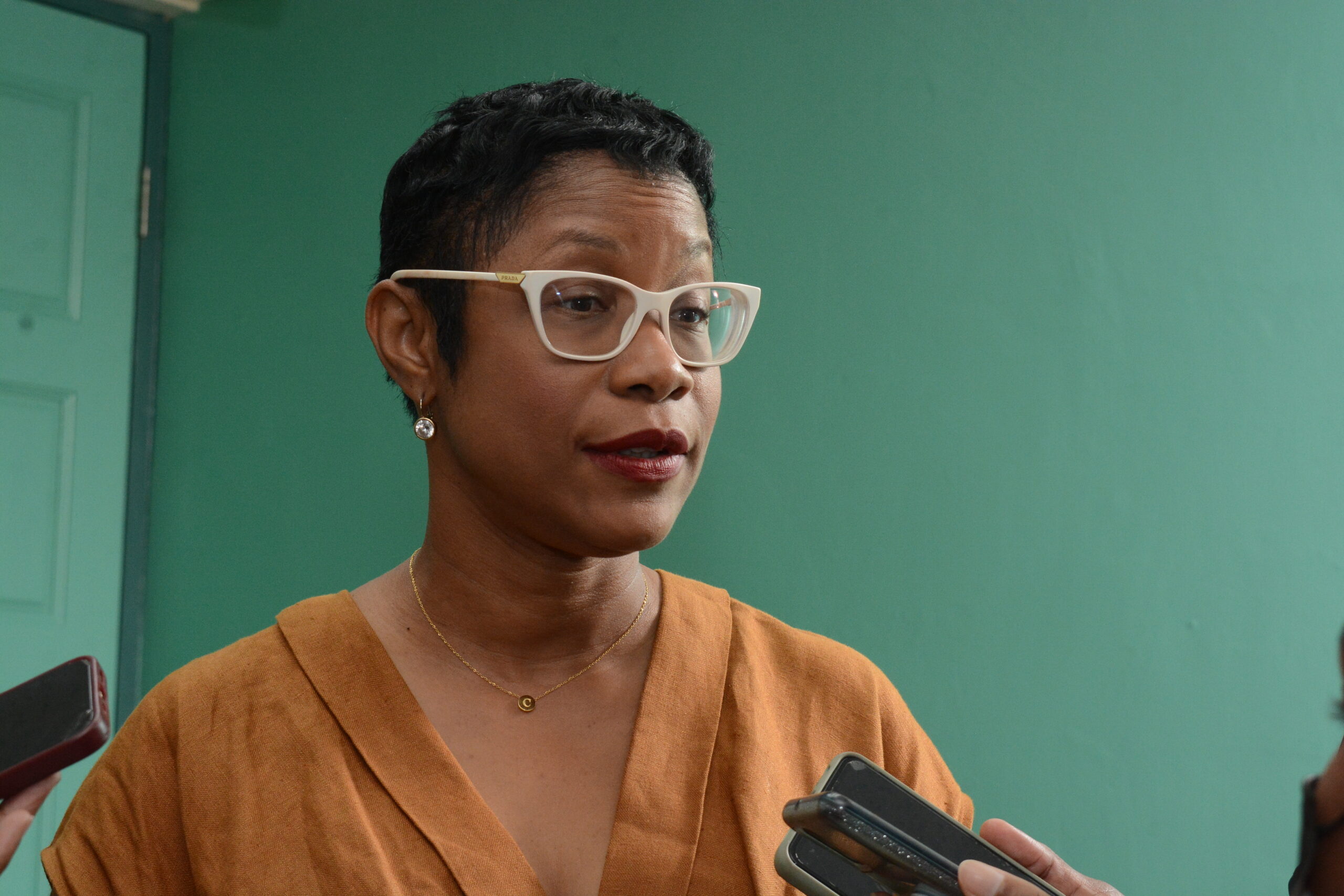 Barbados – Introducing Paid Paternity Leave – NY Carib News